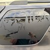 Fits 2010-2024 Toyota 4runner Rear Side Windows Topography Topo ...