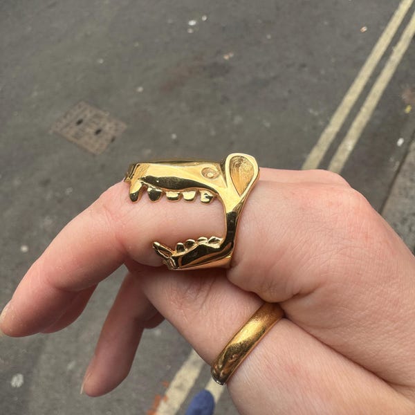 Akata: Slick Brutalist Hyena Ring – Bold Animal Themed Sterling Silver ...