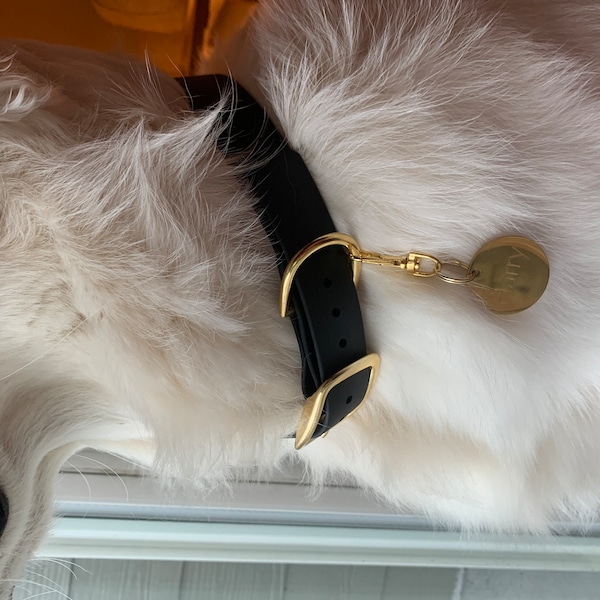 Personalized Gold Dog Tag Custom Engraved ID for Dogs Microchip ...