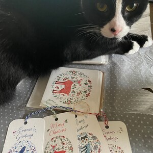 Cat Card Illustrated Cat in Flowers Sleeping Cat - Etsy