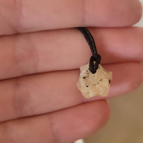 Dinosaur Fossil Tooth Pendant Mosasaurus Tooth Pendant Fossil Tooth ...