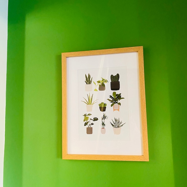 House Plant Print - Download | House Plants | Botanical Print | Wall ...