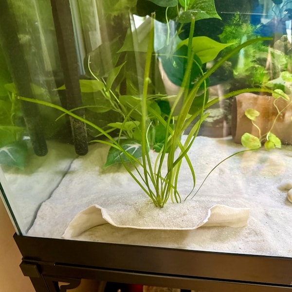 Spacious Corner Aquarium Terrarium Cave – Elevated Hideout for Fish ...