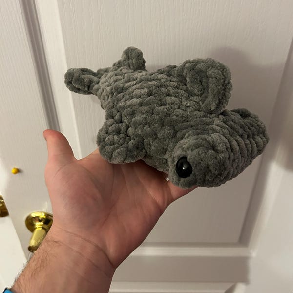 Mini Hammerhead Shark - Etsy