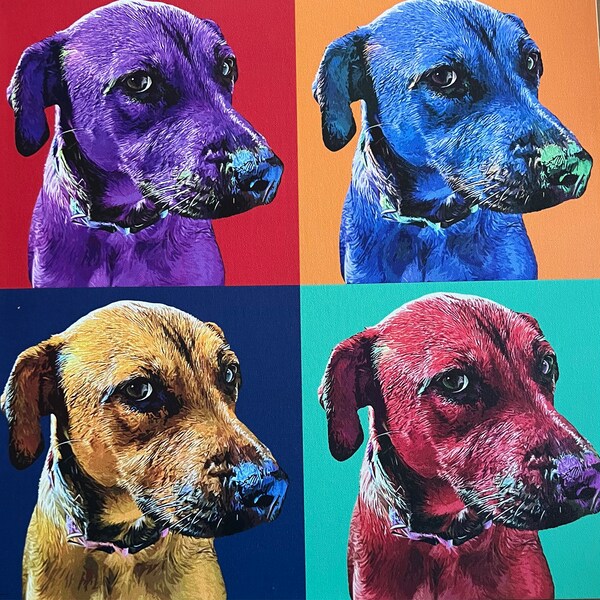 Andy Warhol Custom POP ART Pet Dog Cat Portrait From Photo on Large ...