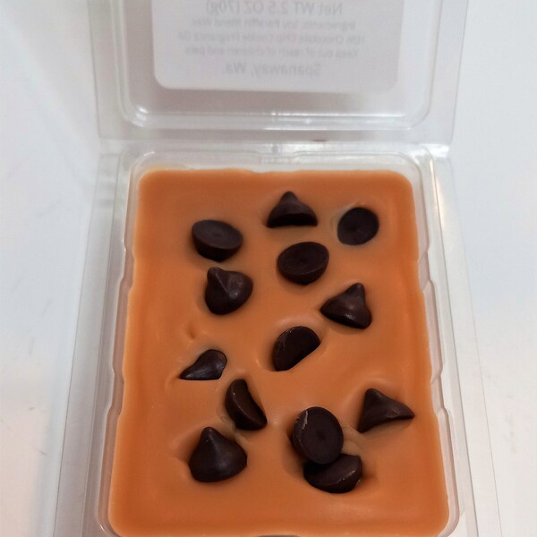 WAX Citrus Wedge Embeds, Citrus Wax Embeds, Unscented Wax Embeds for ...