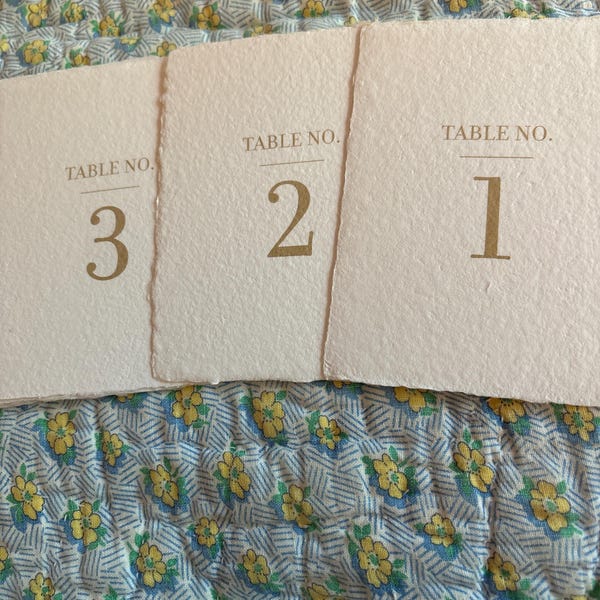 Wedding Seating Chart-deckled Paper Seating List printed - Etsy