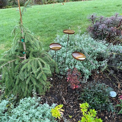 Rusty Flowers Set of 40, Flowers Garden Decor, Metal Garden Decor ...