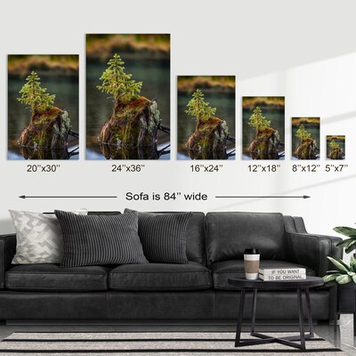 Landscape Canvas Print Size Guide Mockup, Canvas Size Guide Mockup ...