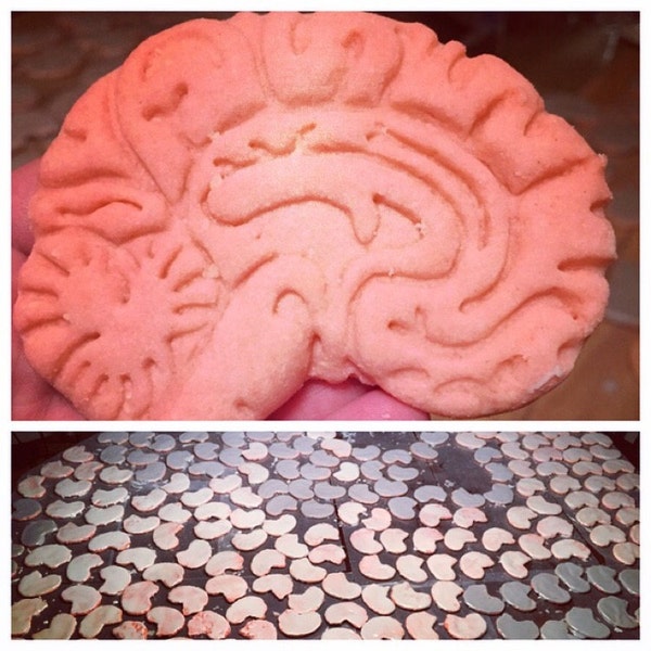 Anatomical Brain Cookie Cutter | Heart Cookies Cutters | Biscuit Cutter ...