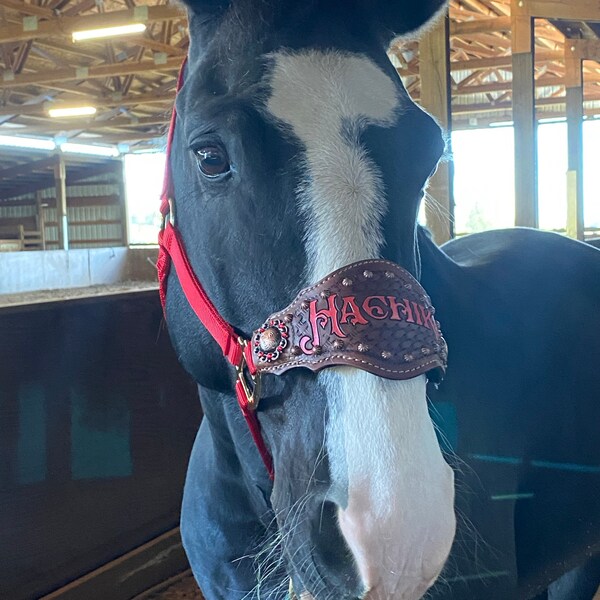 Custom Nylon Bronc Halter Stronger Design Than Tab Style - Etsy