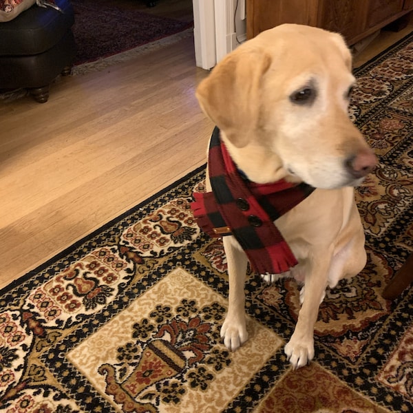 Dog Scarf Winter Fleece Dog Scarf, Red Buffalo Check Dog Scarf ...