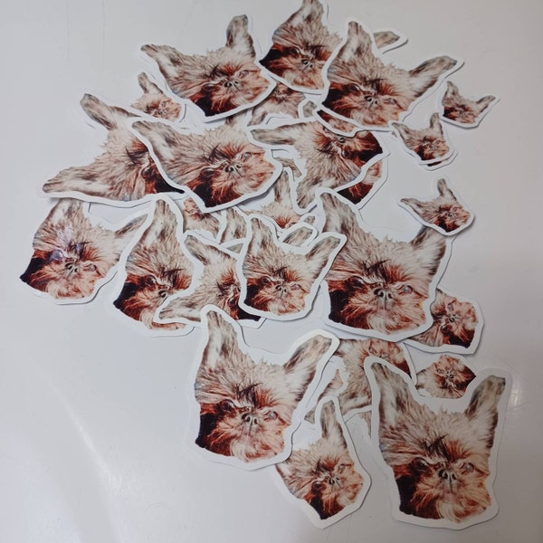 Plz Use It (your Brain) STICKER, for Water Bottles, Laptops, Planners ...