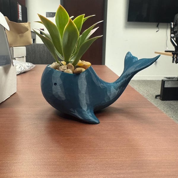 Whale Planter, Succulent Pot, Sea Creature, 3D Printed - Etsy