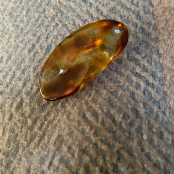 Large Amber Stone Collectors Specimen, Amber for Display, Large Palm ...