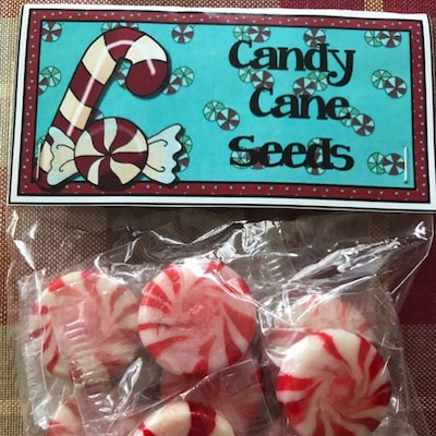 Candy Cane Seeds Bag Topper Digital Printable Good Craft Show Seller ...