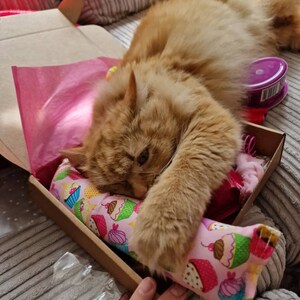 Personalised Cat Birthday Gift Box Gotcha Day Presents Pet - Etsy