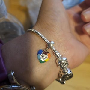 925 Silver Charms for Charm Bracelet Alphabet Charm Personalised ...