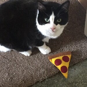 Felt Catnip Choc Chip Cookie Cat Toy - Etsy