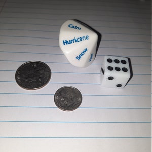 10D8 10 Eight Sided 16mm Blank White Dice RPG Gaming | Etsy