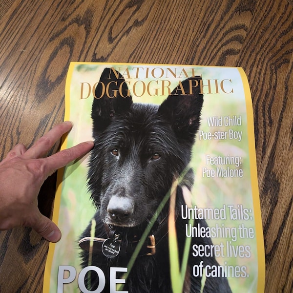 Custom Dog Portrait, Custom Dog Magazine Cover, Custom Pet Art, Custom ...