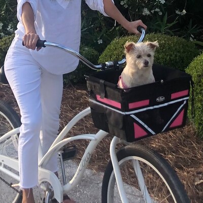 Bike Basket for Cat Cat Basket for Bike Wicker Basket Bike Accessory ...