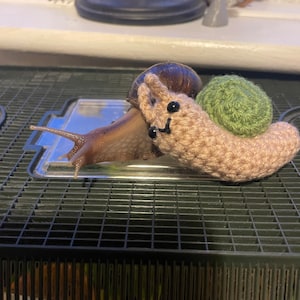 Snail in a Box Handmade Crochet Toy, Insect Lovers Gift, Birthday ...