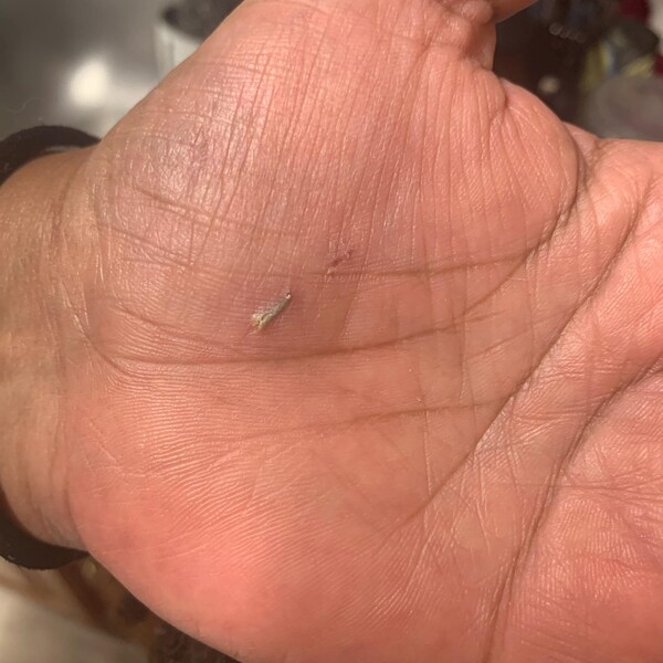 Wall Mounted Note Roll MULTIPLE SIZES , Wall Mounted Memo Pad, Butcher ...