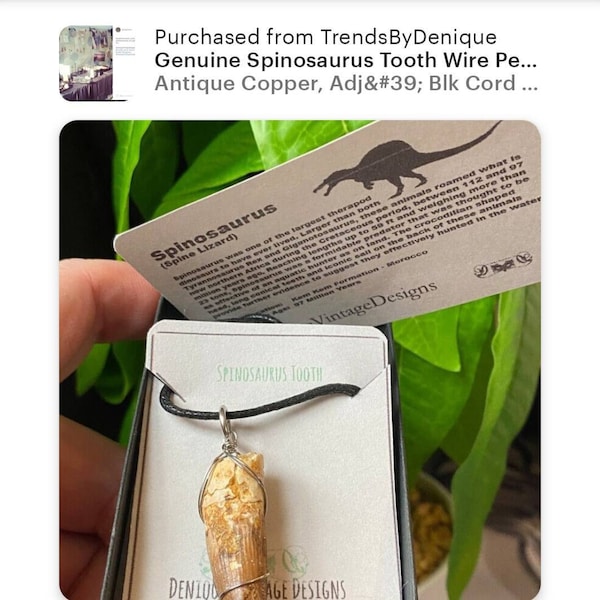 Genuine Spinosaurus Tooth Wire Pendant- Silver/steel/copper/bronze/14k ...