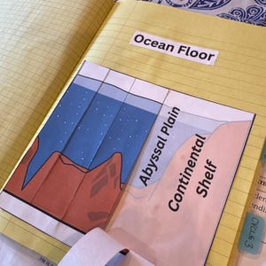 Cycle 1 Bingo Game - Classical Conversations - Digital - Review Game - Etsy