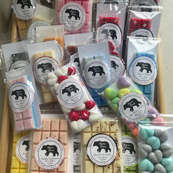 WAX MELT: Salt Water Mermaid, Scented Wax Snap Bar for Warmer, Feminine ...