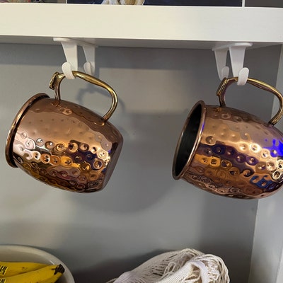 2 Hydroponic Pot Cones for Growing Plants - Etsy