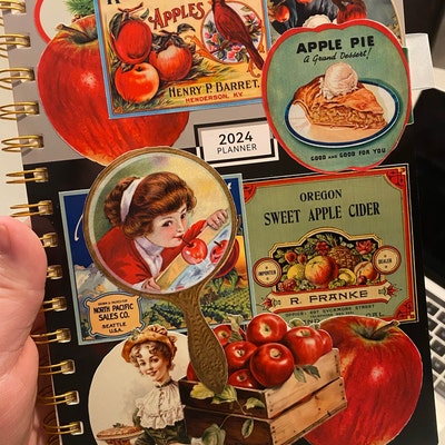 Vintage Apple Sticker Pack Fall Decor Handmade Gifts Red Junk Journal ...