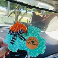 Fall Theme Freshies - Etsy