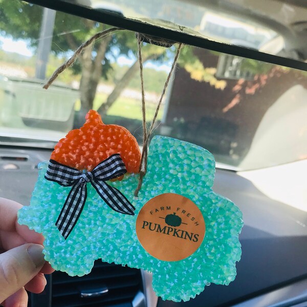 Fall Theme Freshies - Etsy