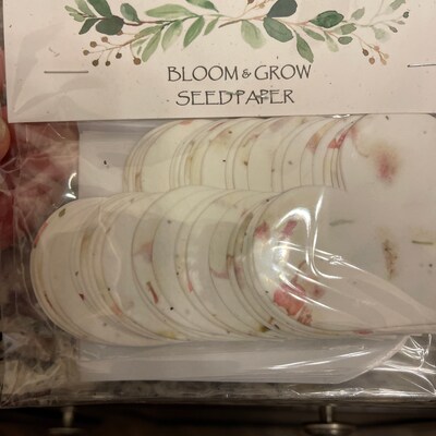 Primo Lines Infinity Pencil Set 6 Colorful Everlasting Pen - Etsy