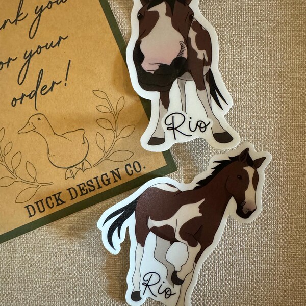 Customizable Horse Vinyl Personal Sticker Decal Gift for Equestrian ...