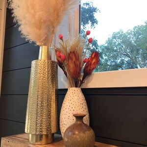 Preserved Lycopodium Bunchdried Princess Pine Grassdried - Etsy