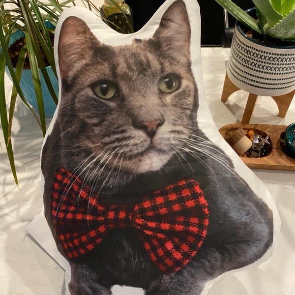 Personalized Human Shape Pillow, Custom Family Pillow, Love Pillow ...