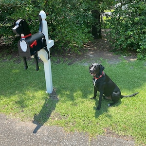 Beagle Dog Mailbox - Etsy