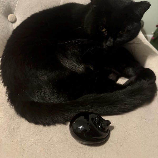 Tortoiseshell Cat, Glass Sculpture, - Etsy