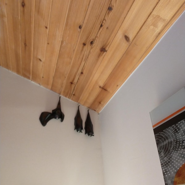 Hanging Metal Closed Wing Bat. Bats. Hanging Garden Outdoor Indoor ...