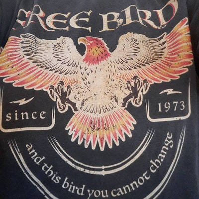 Free Bird Shirt, Comfort Colors Band Tshirt, Old School Band T-shirt ...