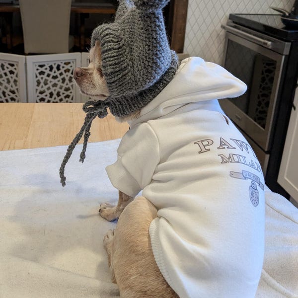 Designer Dog Hoodie or Shirt Prada "pawda" Fun Trendy Cozy Pet Sweater ...