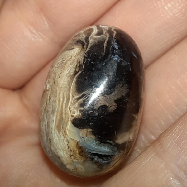 Palm Root Fossil Tumbled Stone - Etsy