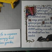 Spiders Georg Meme Calligraphy Prints - Etsy Canada