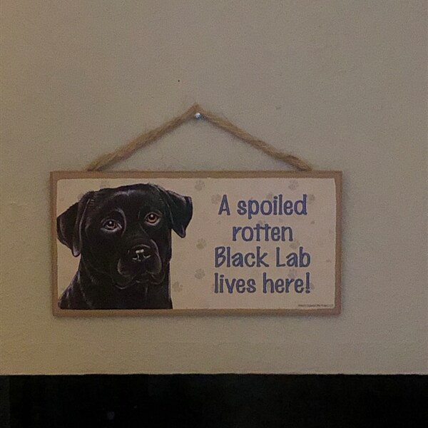 A Spoiled Rotten Black Lab Lives Here! Labrador Retriever Made in the ...