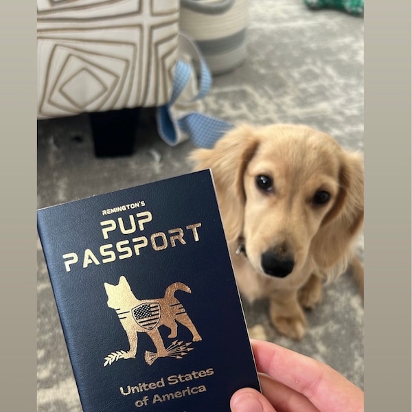 Remington's Pup Memory Passport - Etsy