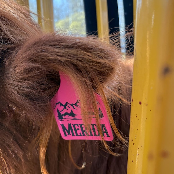 Custom Made Laser-etched Cow Ear Tags - Durable Personalized Ritchey ...