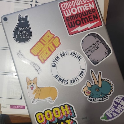 Oooh Shit... Vinyl Sticker // Typography Laptop Sticker // Sweary ...
